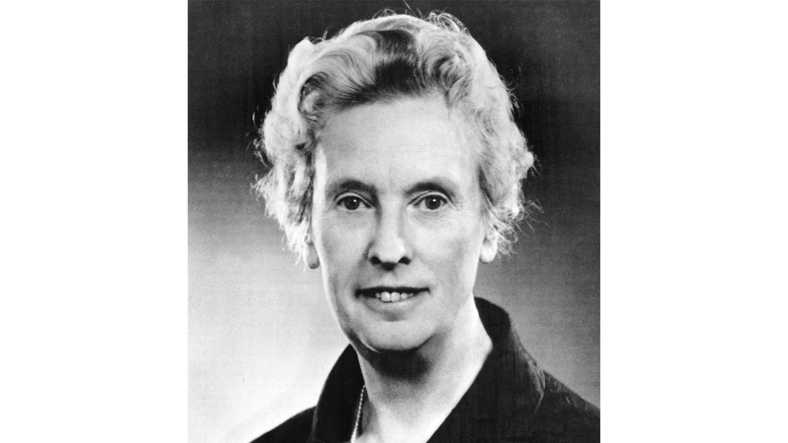 Dansk Sygeplejeråd bliver en 'rigtig' fagforening | dsr.dk